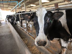 FDA Releases Draft Farm Feed Guidelines - Biobridtech