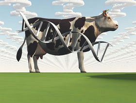 Genome Study Reveals Evolution of Ruminants - Biobridtech